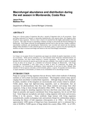 "Macrofungal abundance and distribution during the wet season in Montev ...