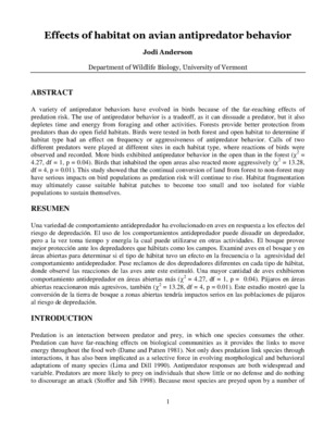"Effects of habitat on avian antipredator behavior" by Jodi Anderson