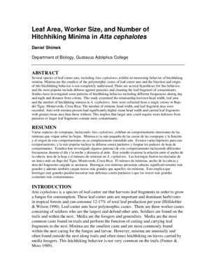 "Leaf area, worker size, and number of hitchhiking minima in Atta cepha ...